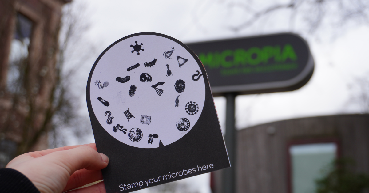 Collect microbe stamps in ARTIS-Micropia | ARTIS